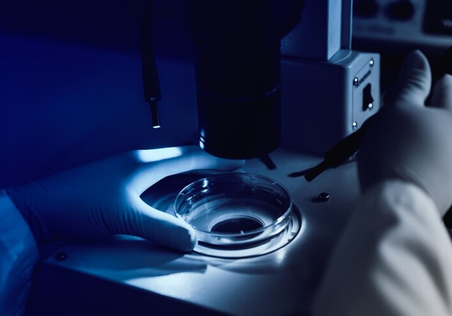 Laser Hatching - Vasundhara IVF